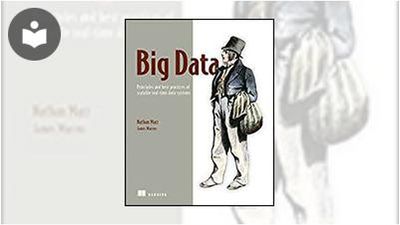 Big Data: Principles and Best Practices of Scalable Realtime Data ...