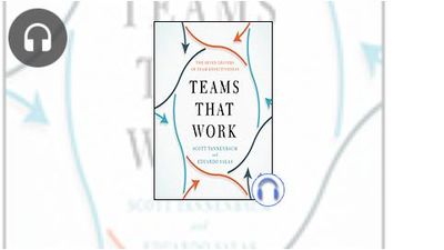 Teams That Work: The Seven Drivers of Team Effectiveness Audiobook ...