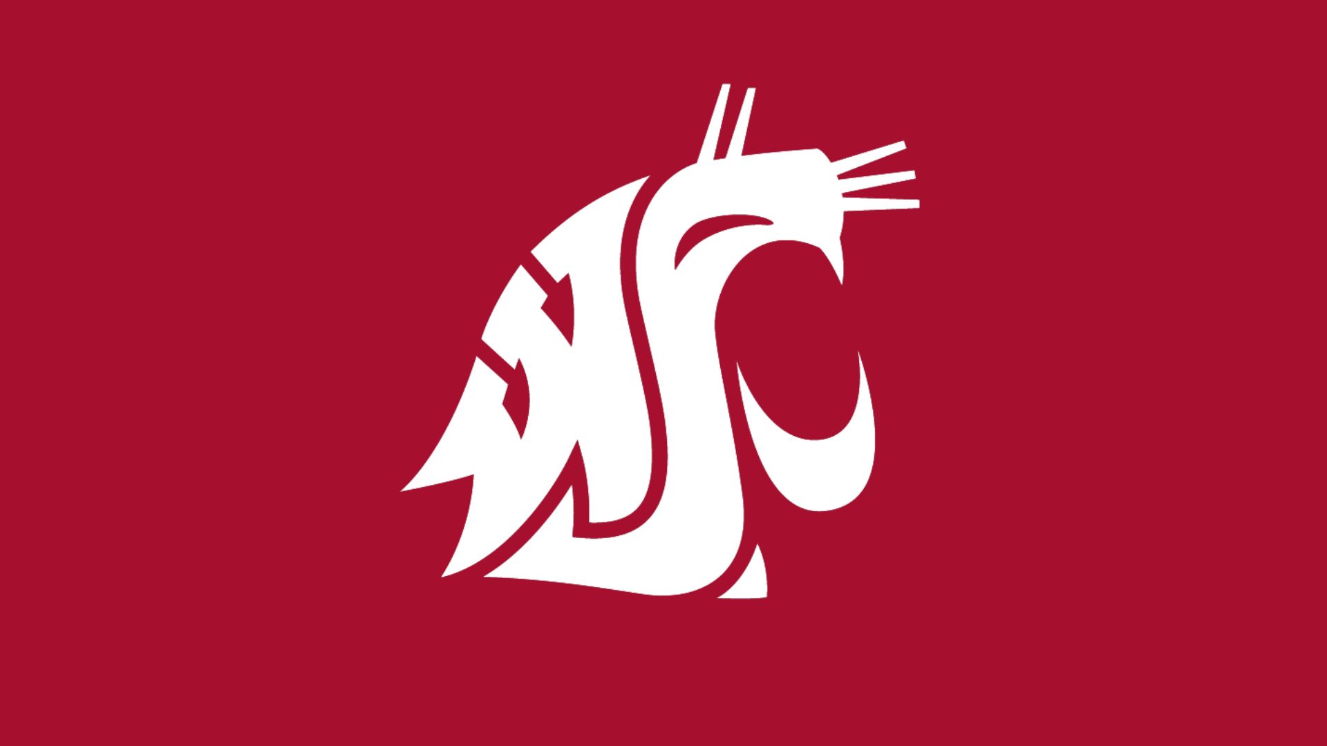 Cougar+Head_all+custom+content.jpg